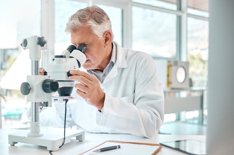 Microscope, Science and Mature Man in Laboratory for Breakthrough ...