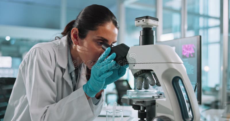 Microscope, Science and Woman with Petri Dish in Laboratory for DNA ...