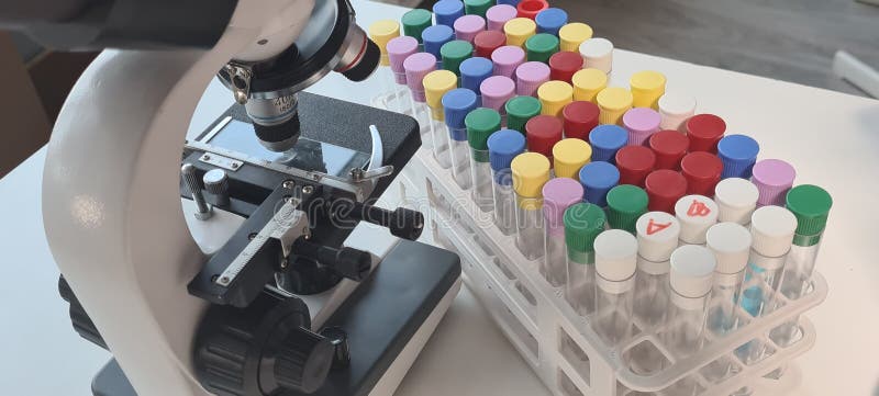 Microscope and Set of Test Tubes in Laboratory Stock Photo - Image of ...
