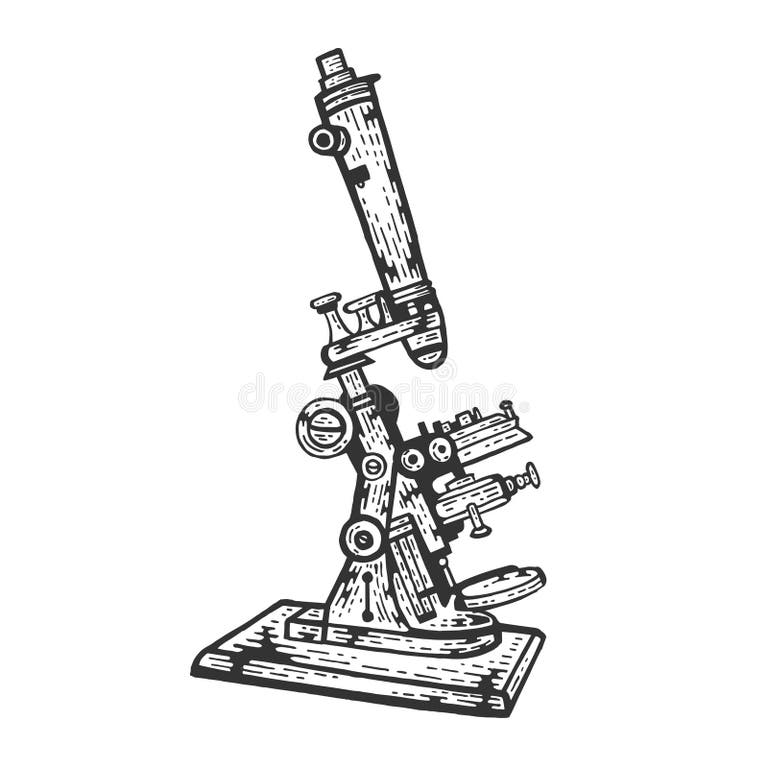 Microscope Sketch Engraving Vector Illustration Stock Vector ...