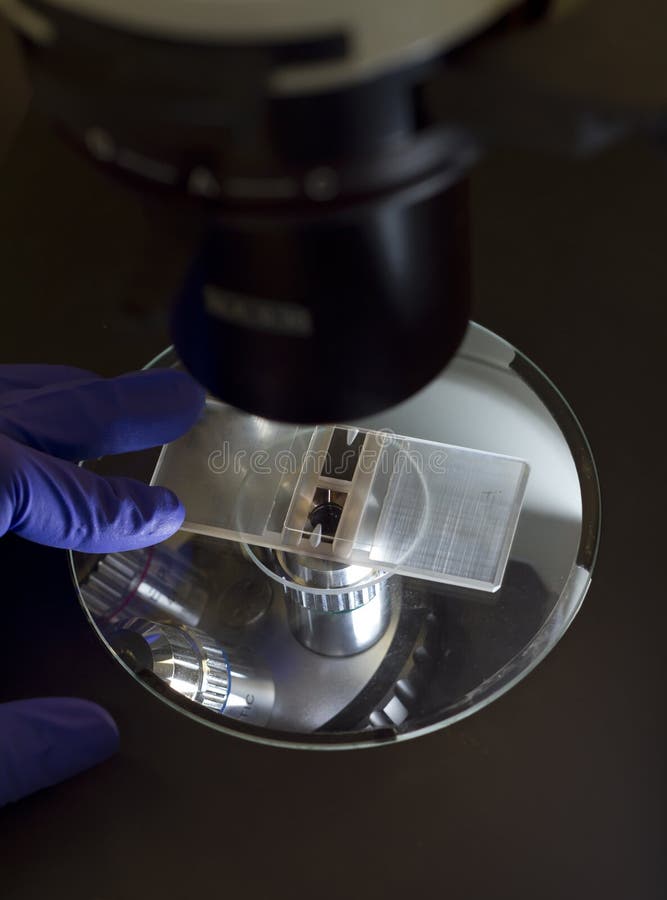 Microscope slide stock photo. Image of technician, optic - 14762048
