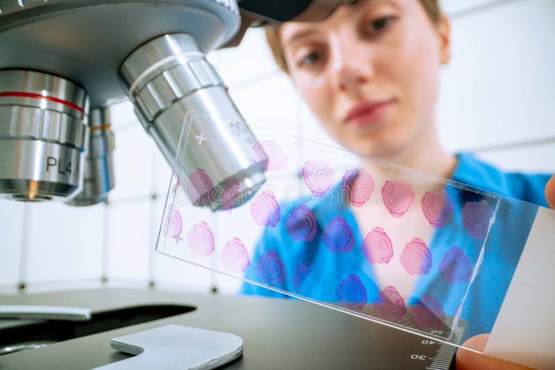 Microscope Slide in the Hands of a Female Scientist Stock Photo - Image ...