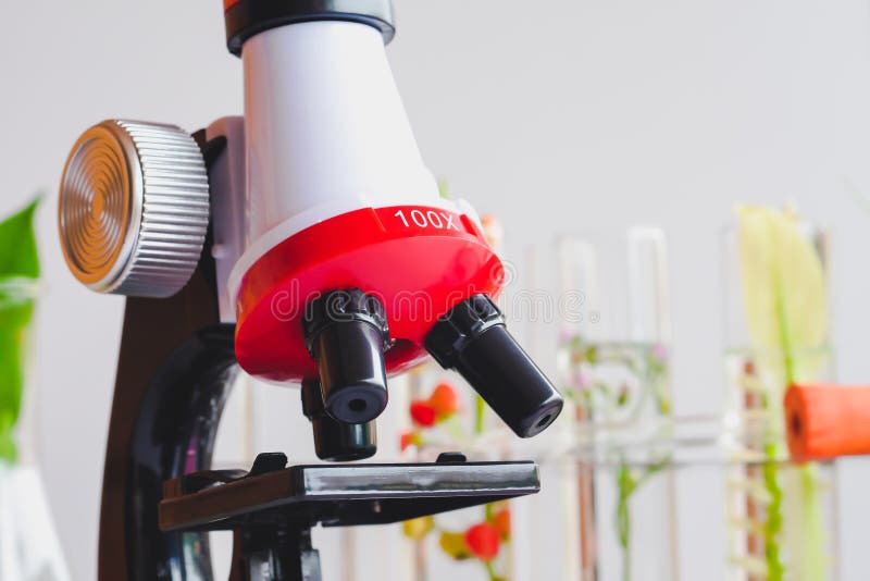 Microscope and Small Plant in Test Tube , Lab Biotechnology Concept ...