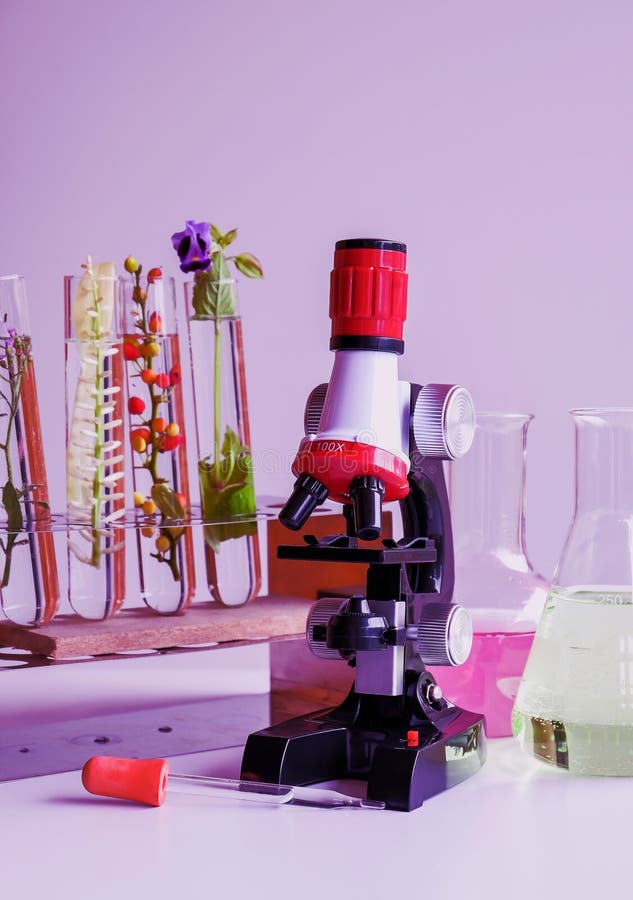 Microscope and Small Plant in Test Tube , Lab Biotechnology Concept ...