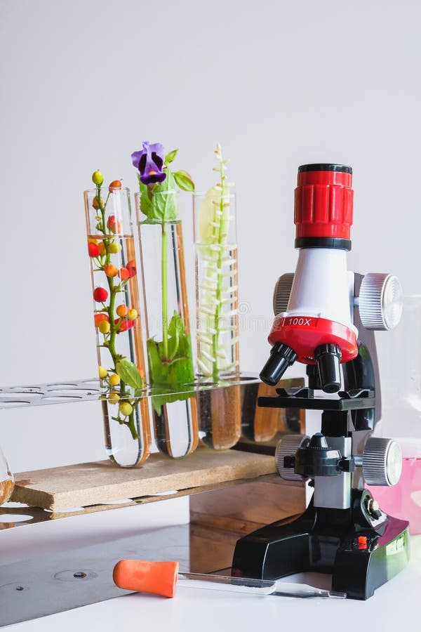 Microscope and Small Plant in Test Tube , Stock Image - Image of plant ...