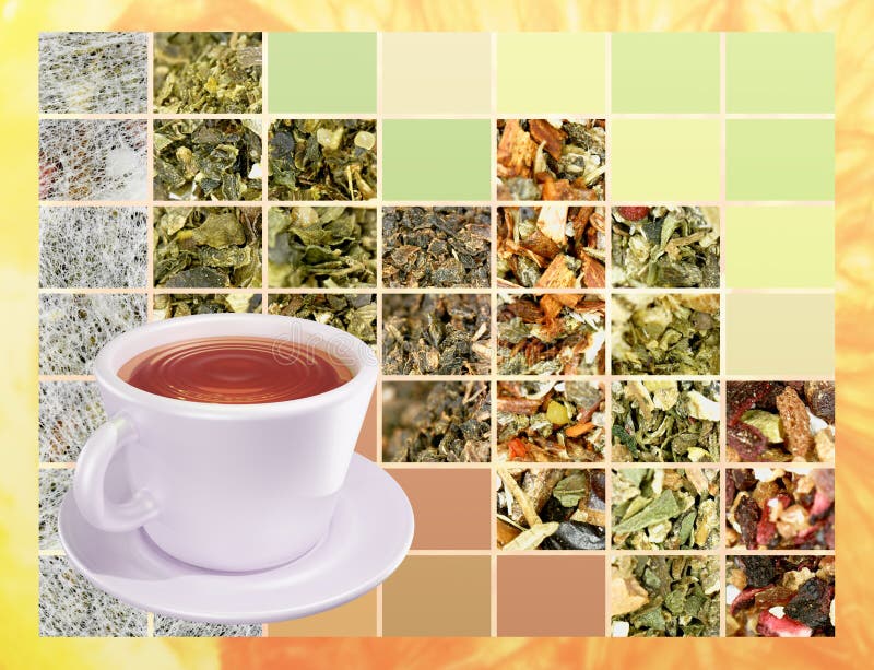 Microscope Snapshots: Assorted Blends of Tea Leaves, Herbs and Fruits ...