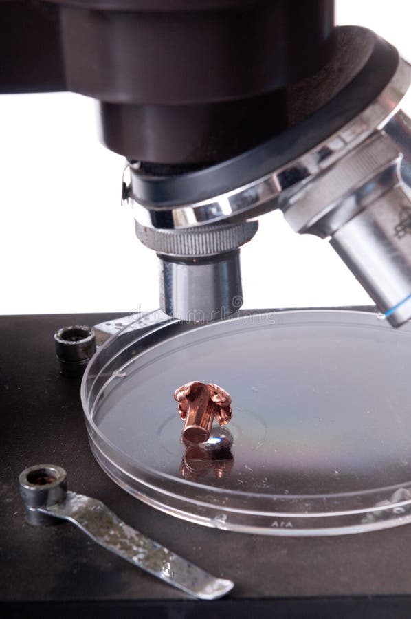 Microscope study stock photo. Image of discovery, inquiry - 37473096