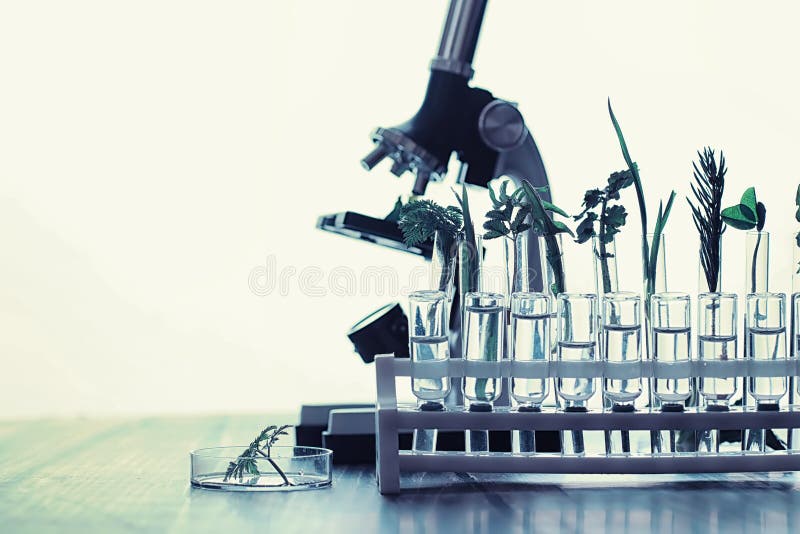 Microscope and Test Partings on the Table in the Laboratory Stock Photo ...