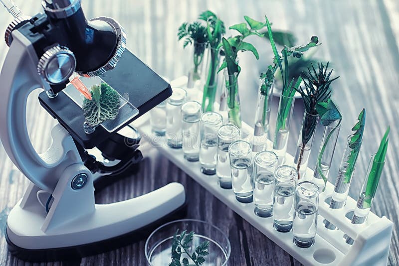 Microscope and Test Partings on the Table in the Laboratory Stock Image ...
