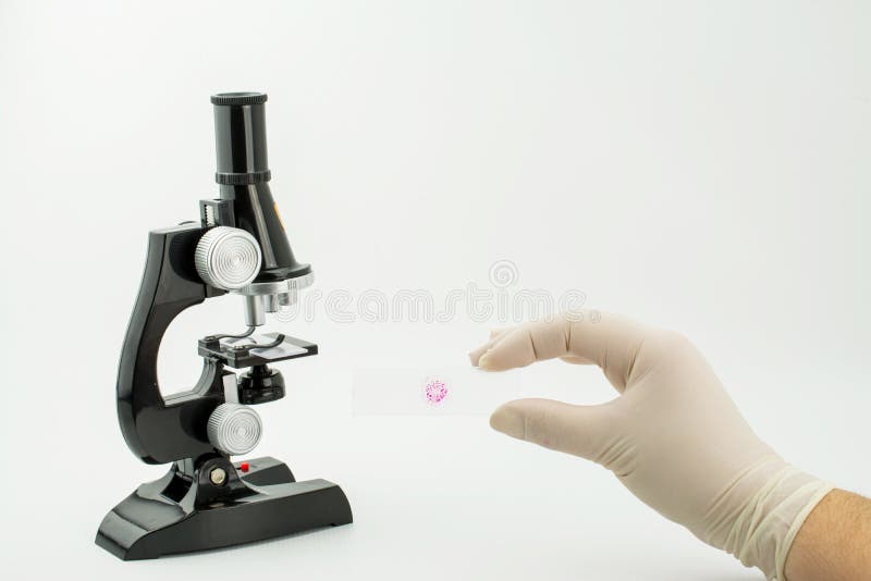 Bible Microscope Photos - Free & Royalty-Free Stock Photos from Dreamstime