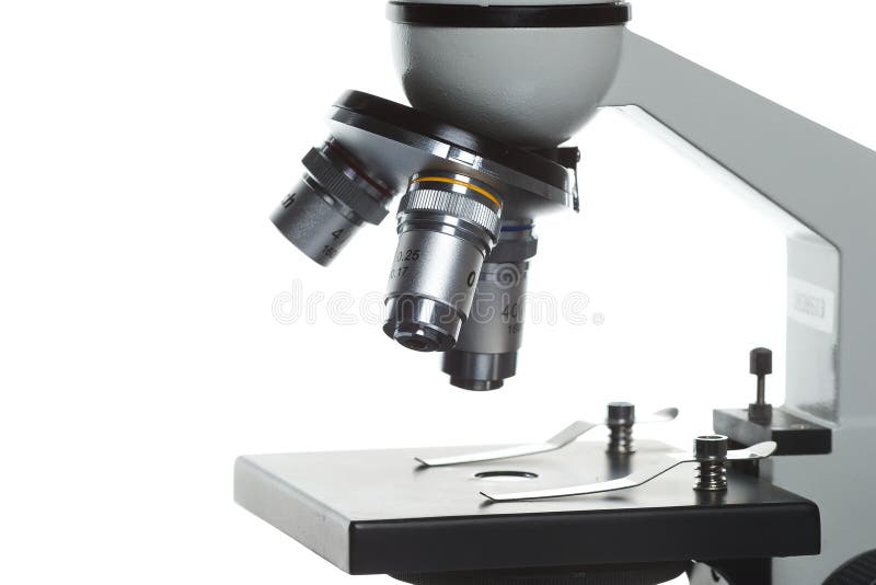 Microscope on White Background Stock Photo - Image of equipment ...