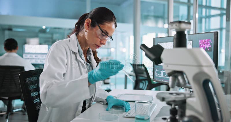Microscope, Woman and Scientist with Petri Dish in Laboratory for DNA ...