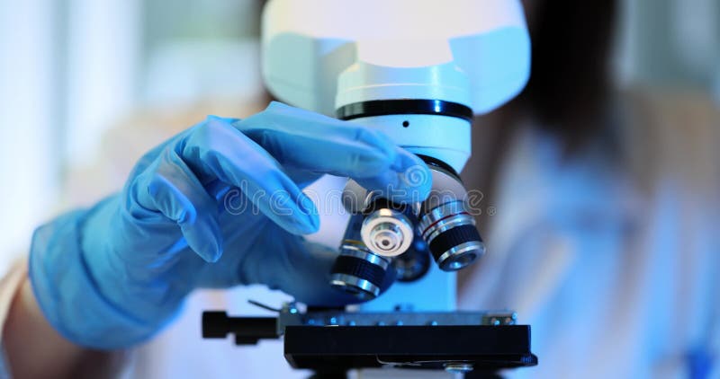 Microscopic Analysis and Setting Up the Microscope for Work Stock ...