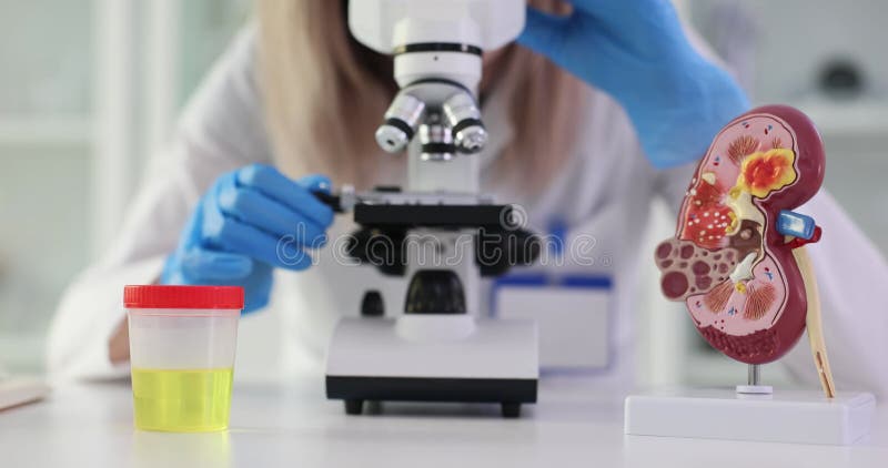 Urine, Kidney and Urethra Tests To Check Your Health in Laboratory ... Urine, Kidney and Urethra Tests To Check Your Health in Laboratory ...