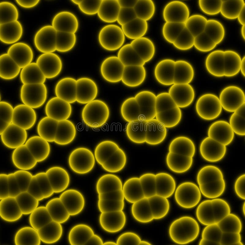 Microscopic Bacteria Cells Texture Stock Illustration - Illustration of ...