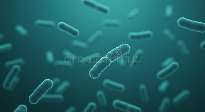 Microscopic Bacteria: 3D Render of Rod-Shaped Bacterial Cells Dividing ...