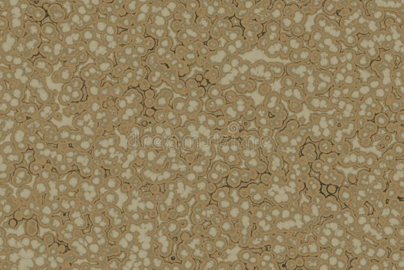 Microscopic Bacterium and Bacillus Bacteria Micro-organisms Stock Photo ...