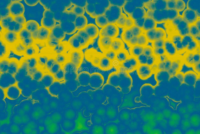 Microscopic Bacterium and Bacillus Bacteria Micro-organisms Stock Photo ...