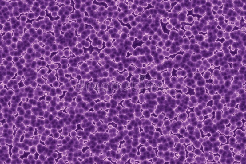 Microscopic Bacterium and Bacillus Bacteria Micro-organisms Stock ...