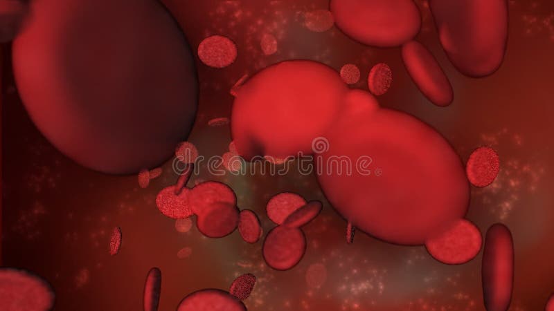 Microscopic Red Blood Cells Flowing and Moving, Animation of Red Blood ...