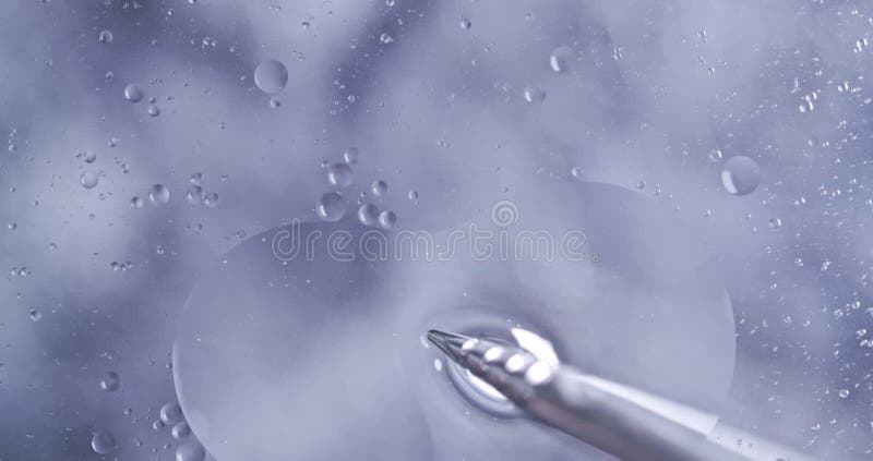 Microscopic Close-up of a Droplet of Liquid Chemical Solution in ...