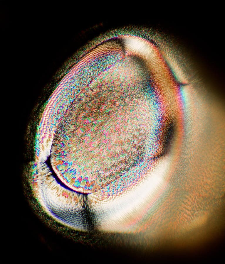 Microscopic Crystals in Sulfur Stock Image - Image of crystallography ...