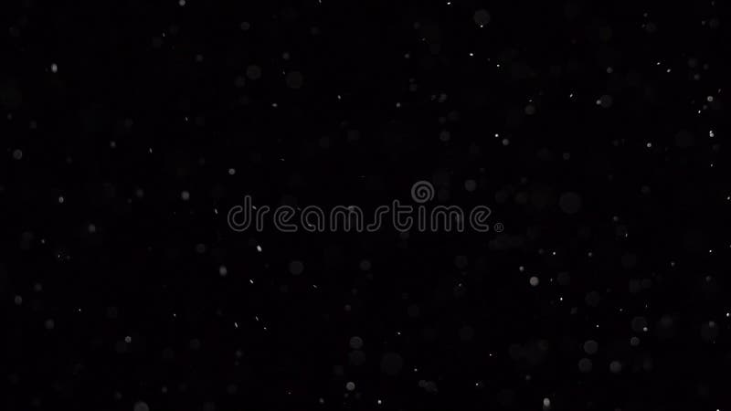 Microscopic Dust Pieces Falling from Top To Bottom. Slow Motion Stock ...