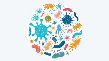 Microscopic Ecosystem Inside the Human Body Reflecting Inner Bacterial ...