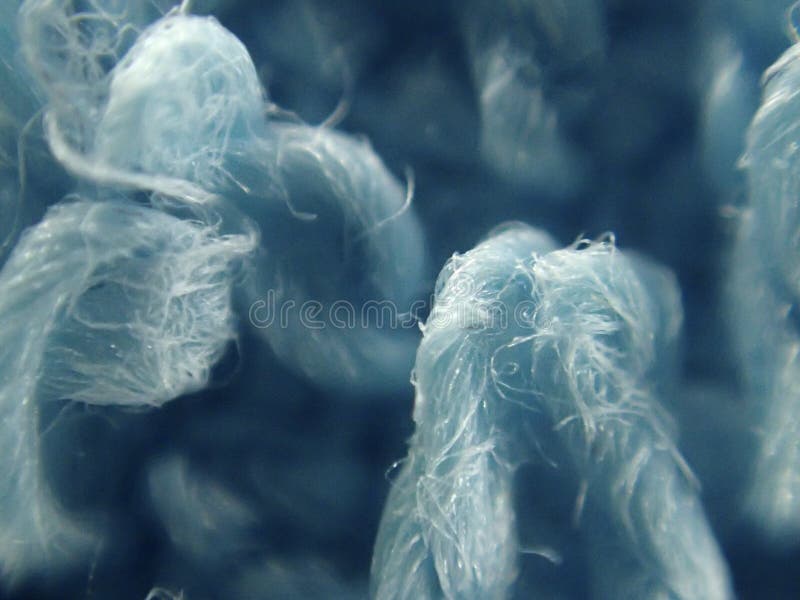 Cotton Fibers Under The Microscope Stock Image - Image of microfiber ...