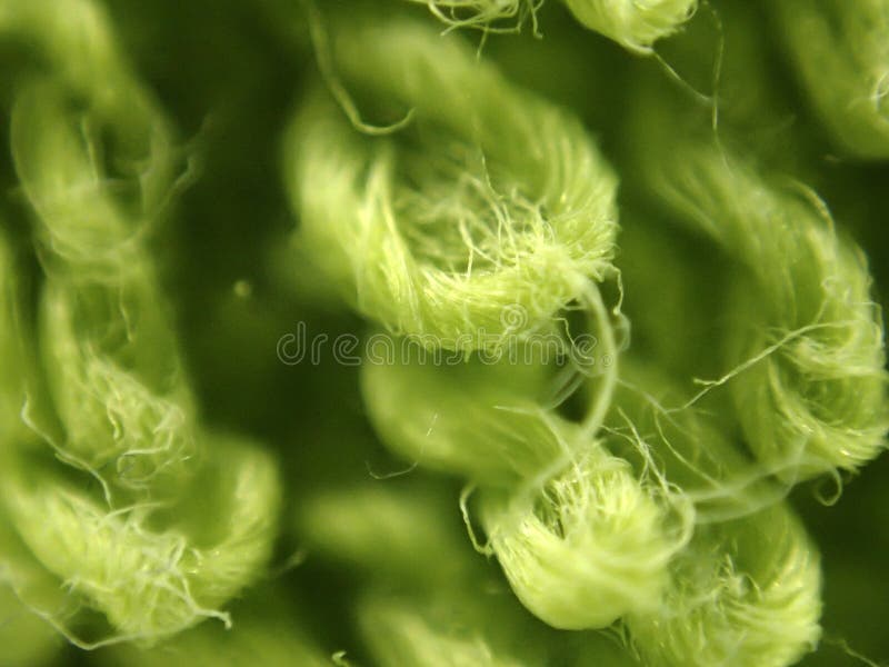 Microscopic fabric texture stock photo. Image of clothing - 52465424