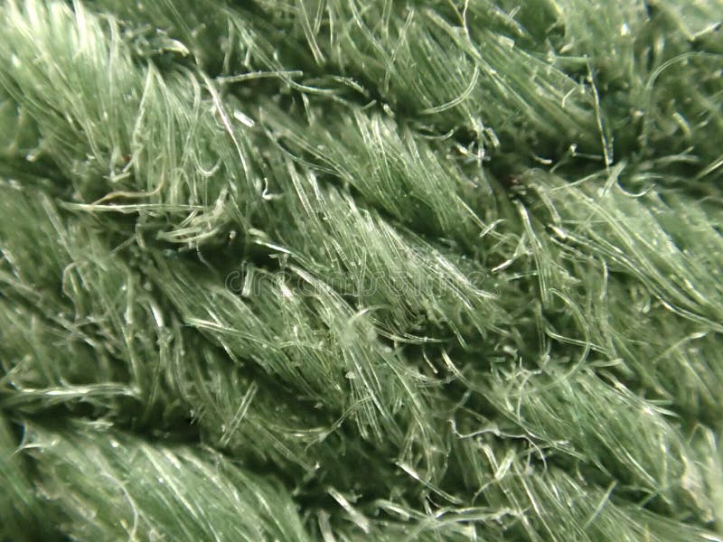 Wool Fiber Microscope Stock Photos - Free & Royalty-Free Stock Photos ...