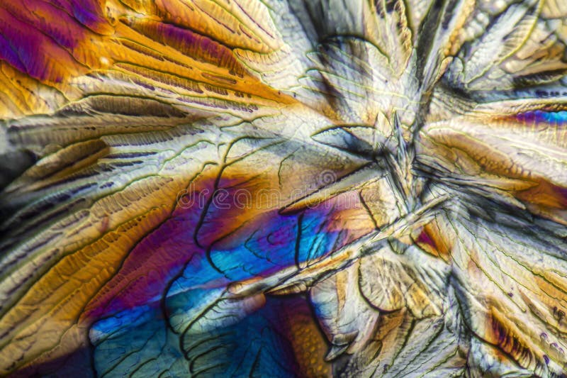 Microscopic Galactose Crystals Stock Photo - Image of illuminated ...