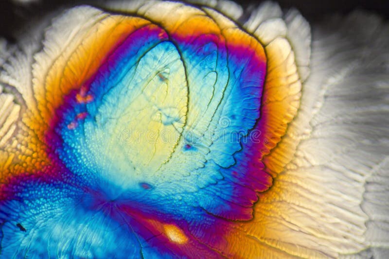 Microscopic Galactose Crystals Stock Image - Image of structure ...