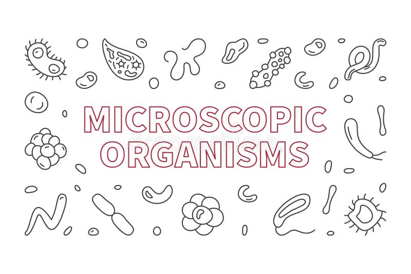 Microscopic Organisms Vector Microbiology Outline Round Banner ...