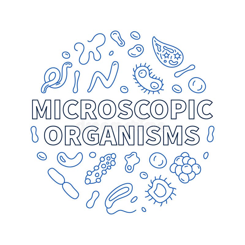 Microscopic Organisms