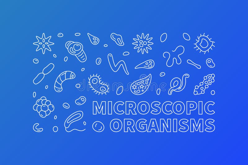 Banner Microorganisms Stock Illustrations – 424 Banner Microorganisms ...
