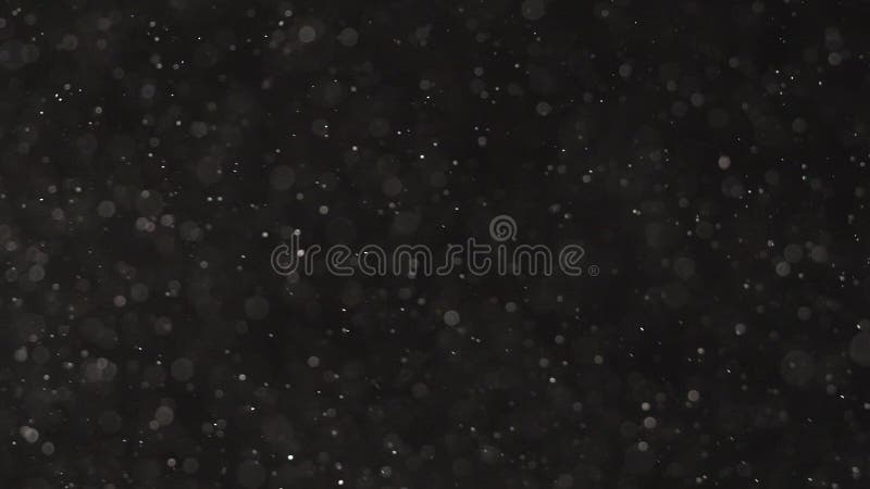 Microscopic Pieces of Dust Falling from Top To Bottom on a Black ...