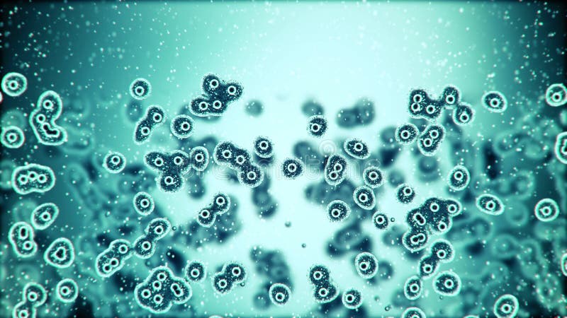Microscopic Plate of Bacteria Multiplying Themselves Stock Illustration ...