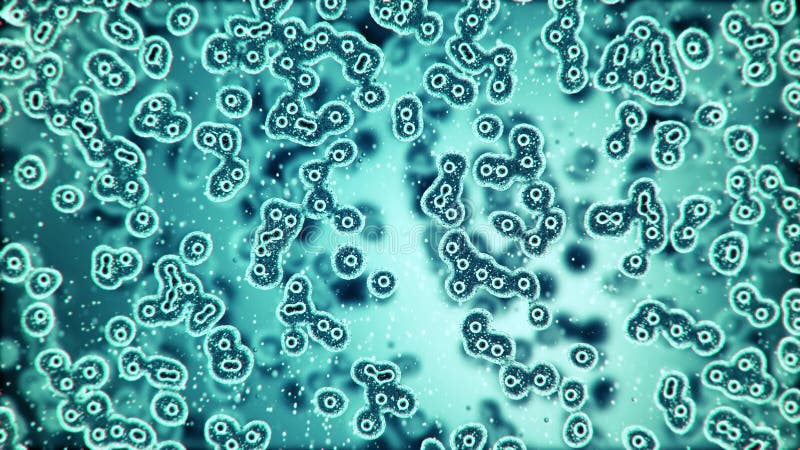 Microscopic Plate of Bacteria Multiplying Themselves Stock Image ...