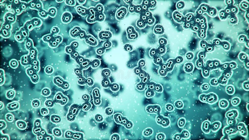 Microscopic Plate of Bacteria Multiplying Themselves 4K Stock Video ...