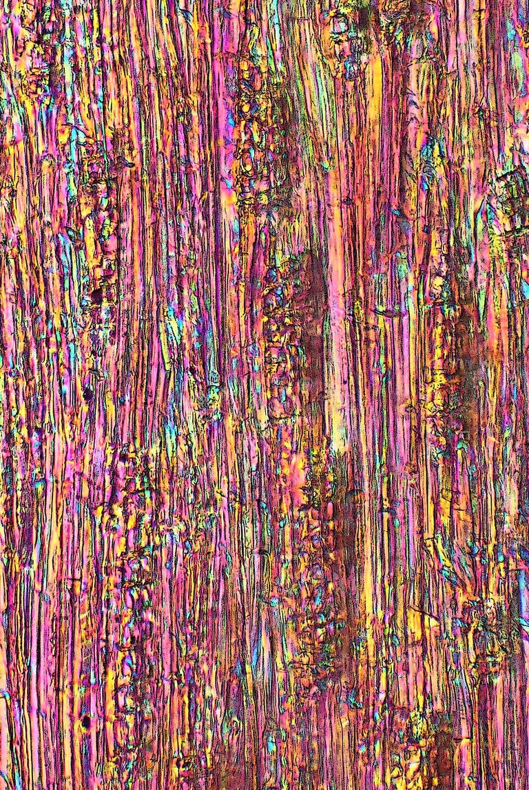 1,587 Wood Microscope Stock Photos - Free & Royalty-Free Stock Photos ...