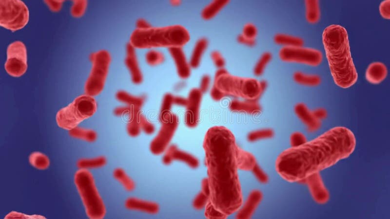 Microscopic View of Red Bacteria Cells Floating on a Blue Background ...