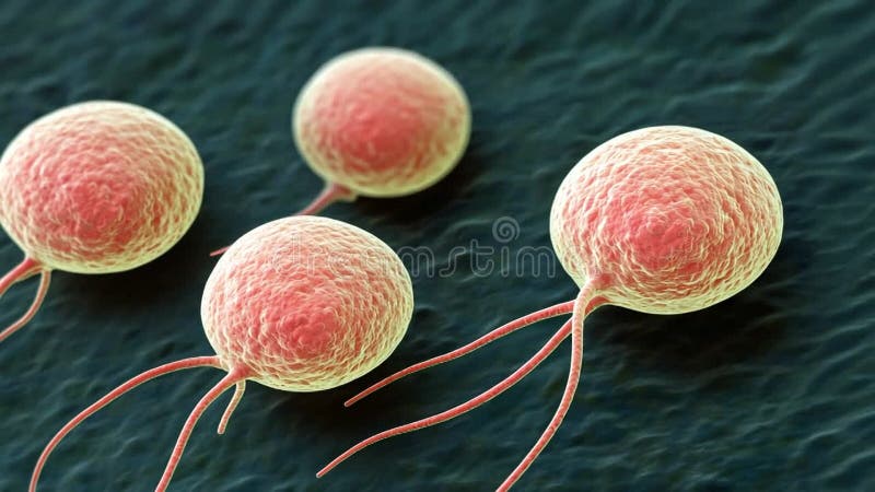 Microscopic Representation: Multiple Cellular Entities with Filaments ...