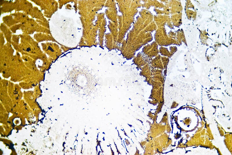 Microscopic soot particles stock photo. Image of microphotography ...