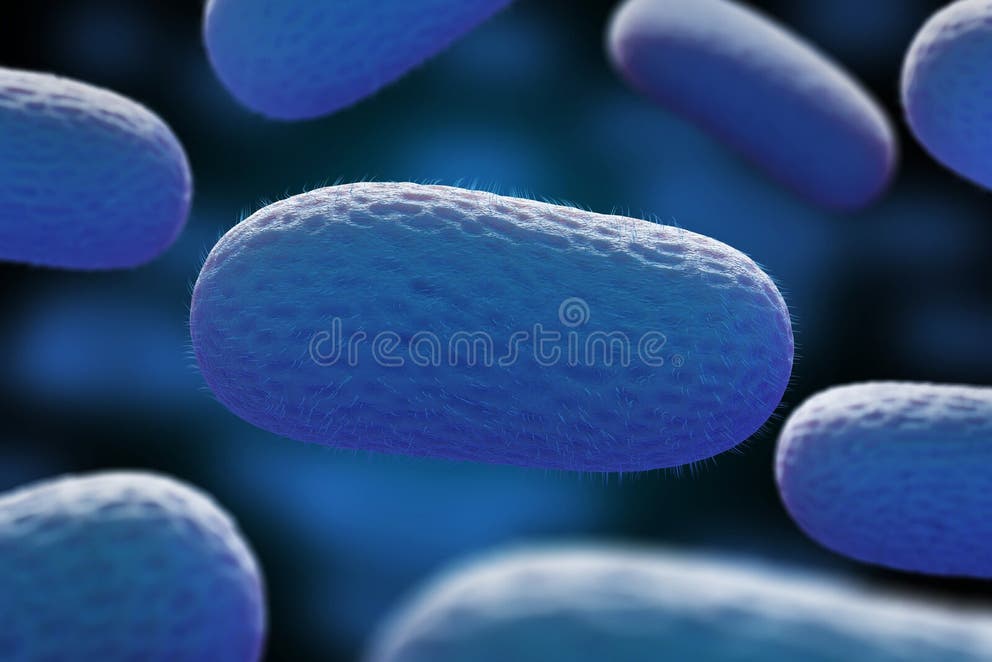 Microscopic View of Bacillus Bacteria. 3d Illustration Stock ...