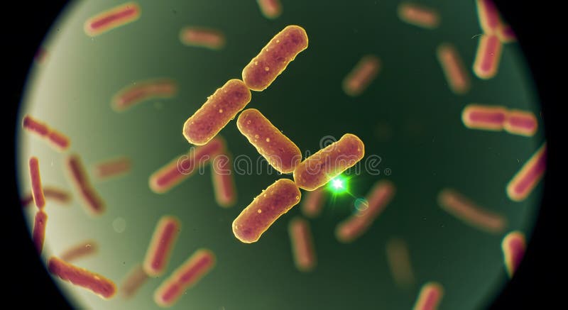 Microscopic View of Bacteria Cells in Green Background Stock ...