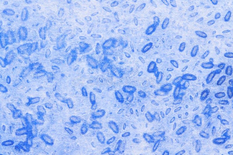 Microscopic View of Blue Bacterial Cells with Irregular Shapes and ...