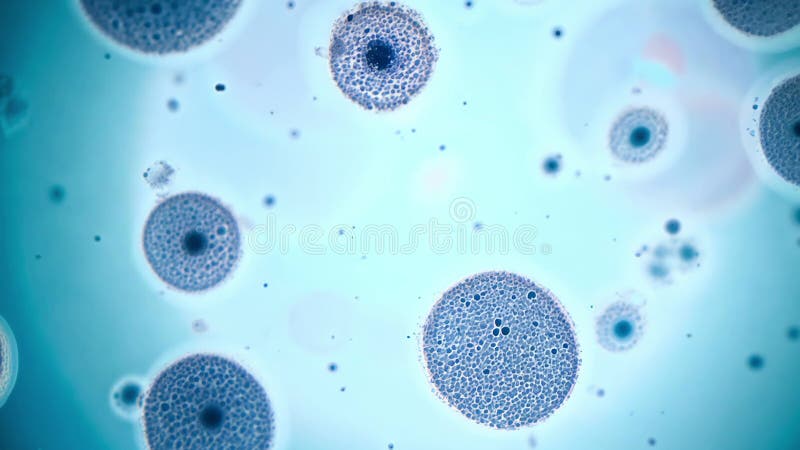 Microscopic View of Blue Cellular Structures Floating in a Light Blue ...