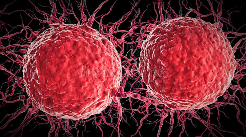 A Microscopic View of a Cancer Cells Splitting. Stock Illustration ...