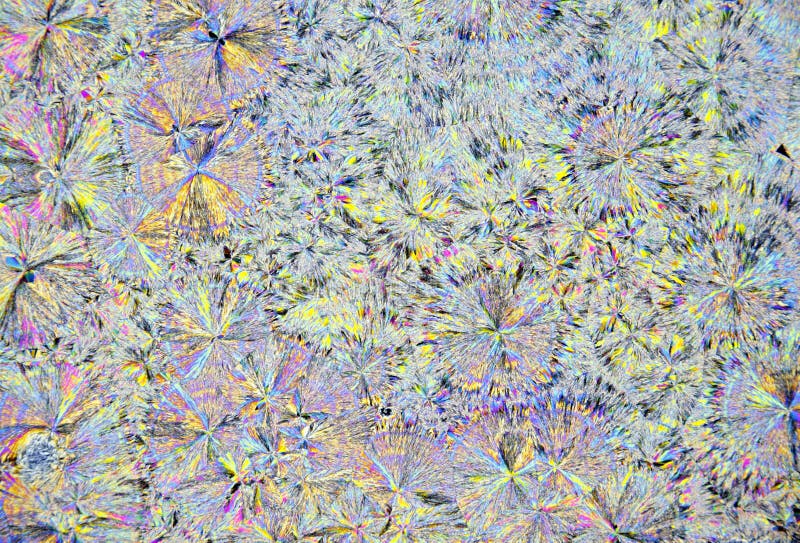 Microscopic View of Sucrose Crystals in Polarized Light Stock Image ...